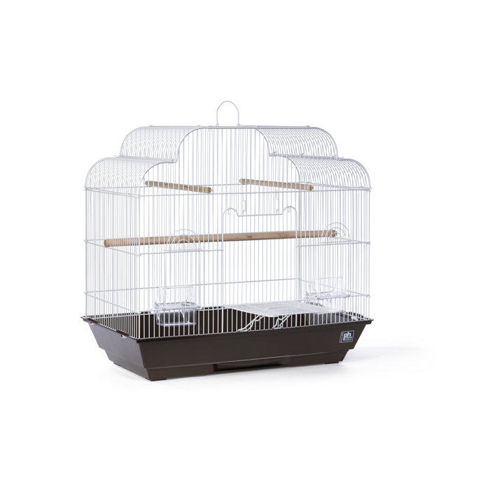 Tucker Murphy Pet™ Cinamon 24'' Steel Victorian Top Table Top Bird Cage ...