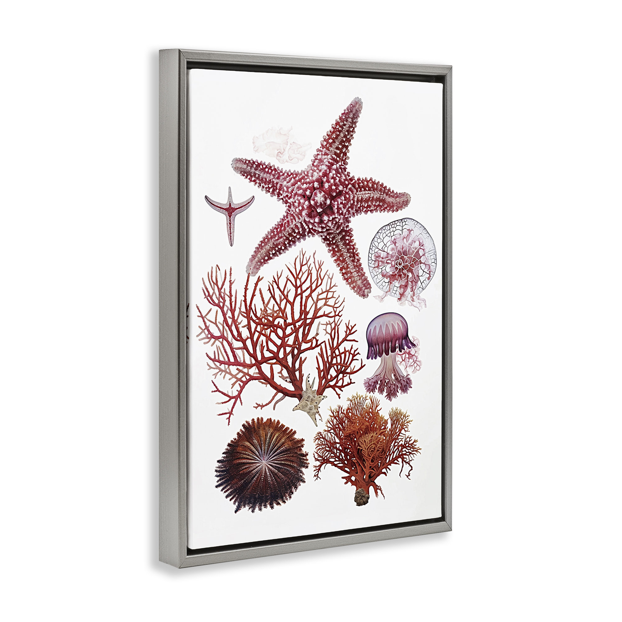 Mercer41 Rosy Undersea Creatures Floating Frame, design by Ramona ...