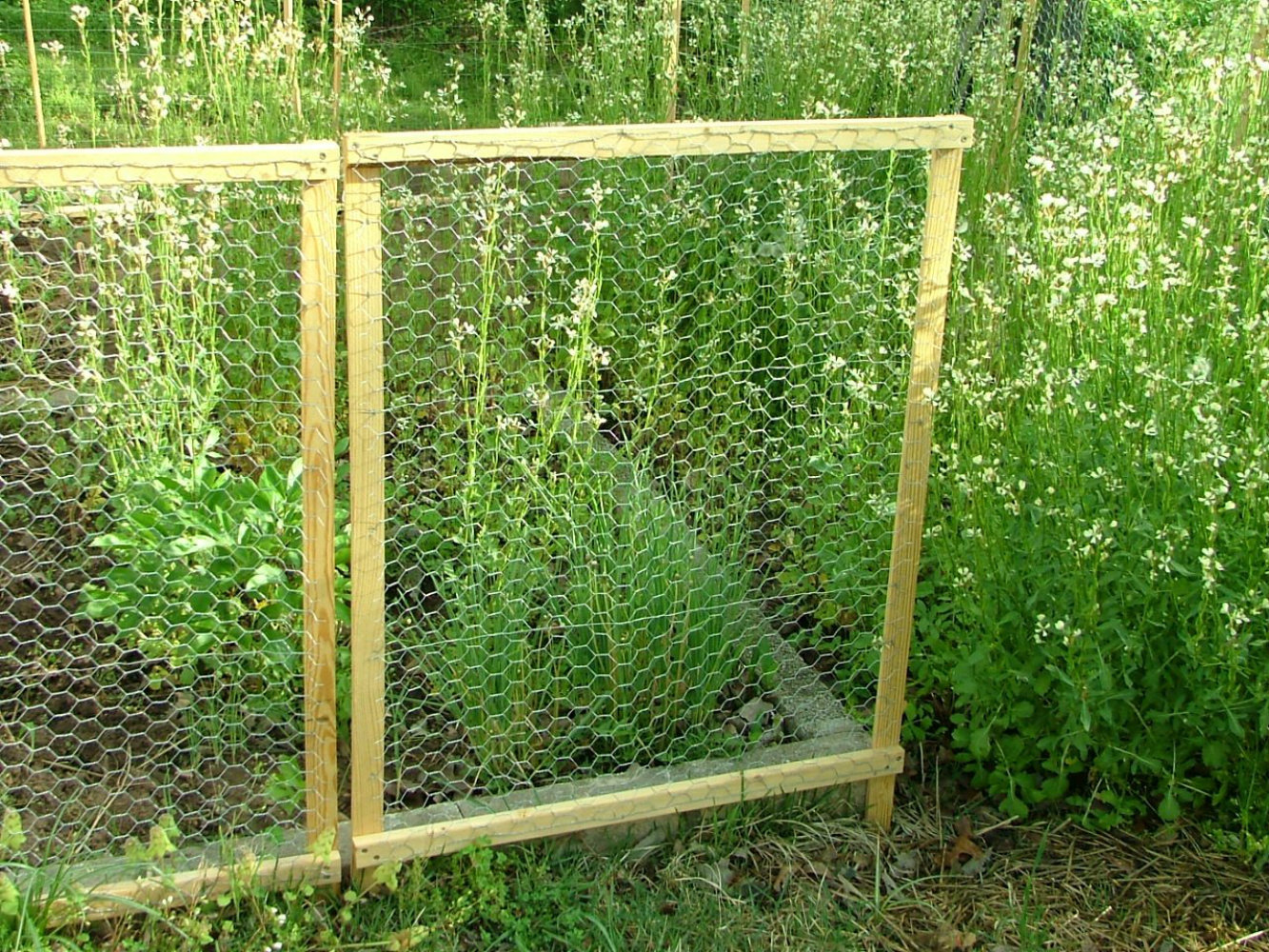 Archie & Oscar Eugenia Wire Mesh | Wayfair.co.uk
