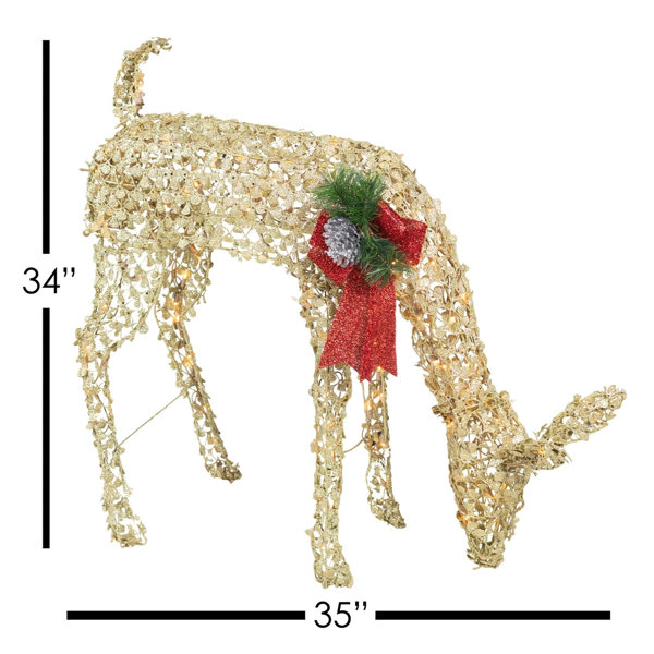 The Holiday Aisle® The Holiday Aisle Lighted Display | Wayfair