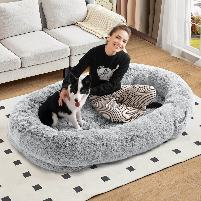 Archie & Oscar™ Marston Human Dog Bed, 72"×48"×10" Human Dog Bed With ...