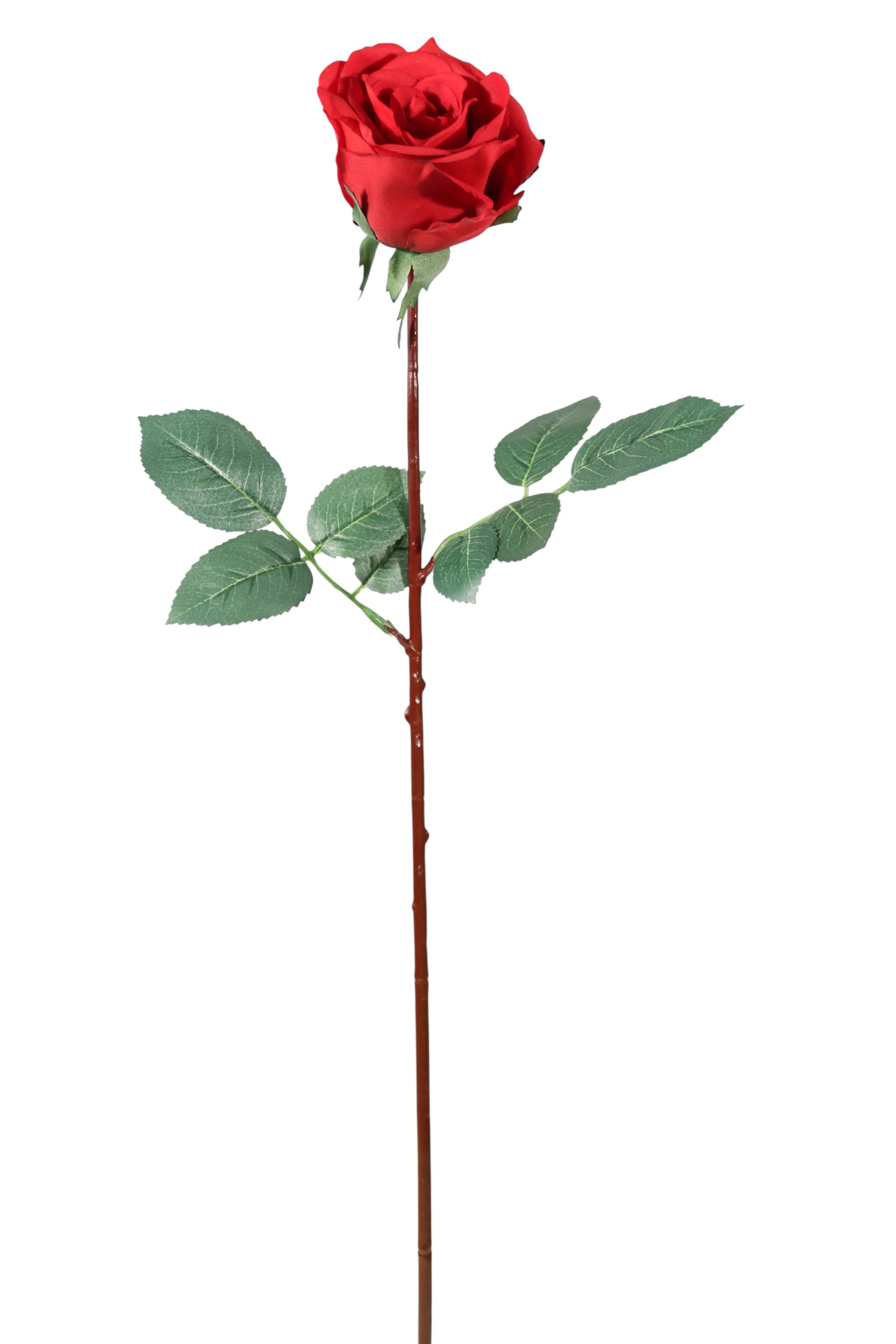 Charlton Home® 2pc 27” Real Touch Red Rose – 4” Diameter Artificial ...