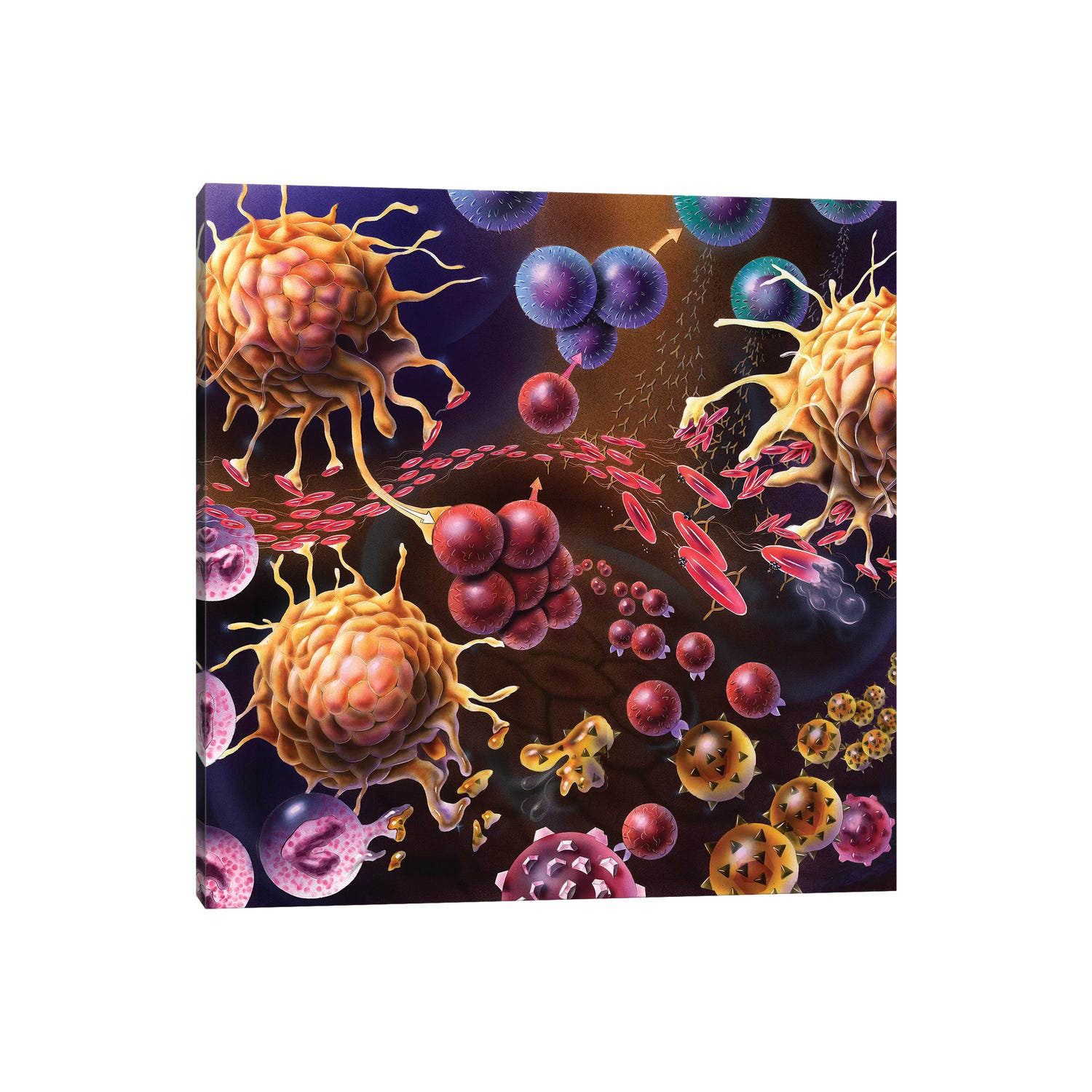 Happy Larry Artistic Representation of the Immune System's Reaction to ...