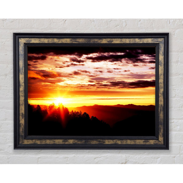 Bright Star Sunrise Over Treeline - Single Picture Frame Art Prints ...