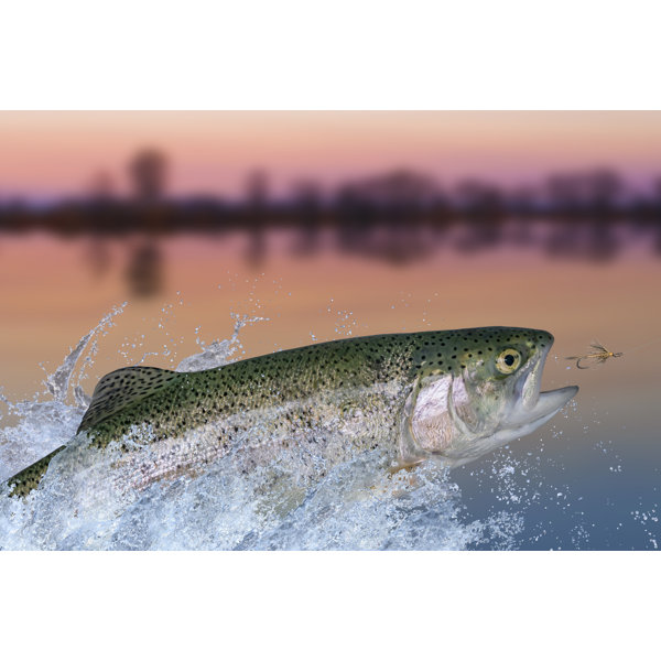 House of Hampton Grandy Fish - Wrapped Canvas Photograph | Wayfair.co.uk
