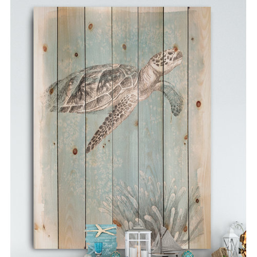 Turtle Wall Art You'll Love | Wayfair
