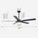 Wrought Studio Kaveesh 60'' Ceiling Fan with LED Lights | Wayfair