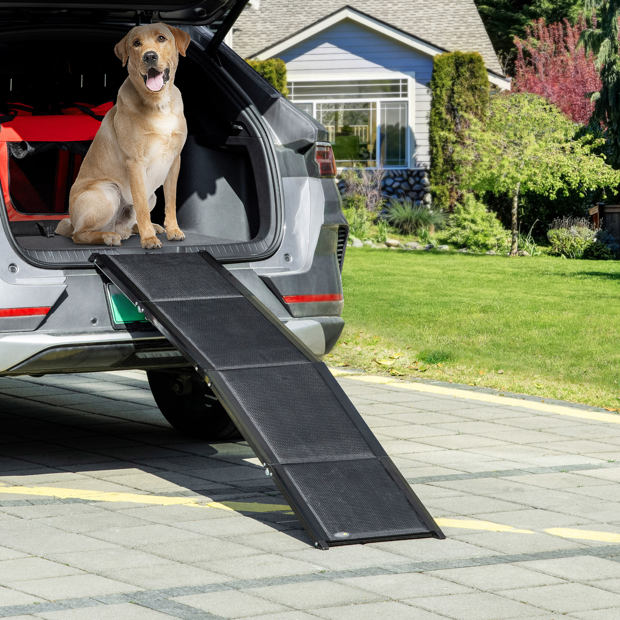 Tucker Murphy Pet™ Folding Pet Ramp, 62 Inch Lightweight Portable Dog ...