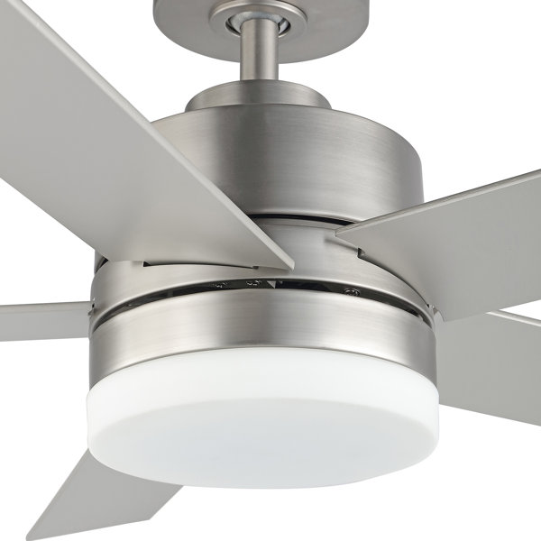 Wade Logan® Thurman 48'' Ceiling Fan with LED Lights & Reviews | Wayfair