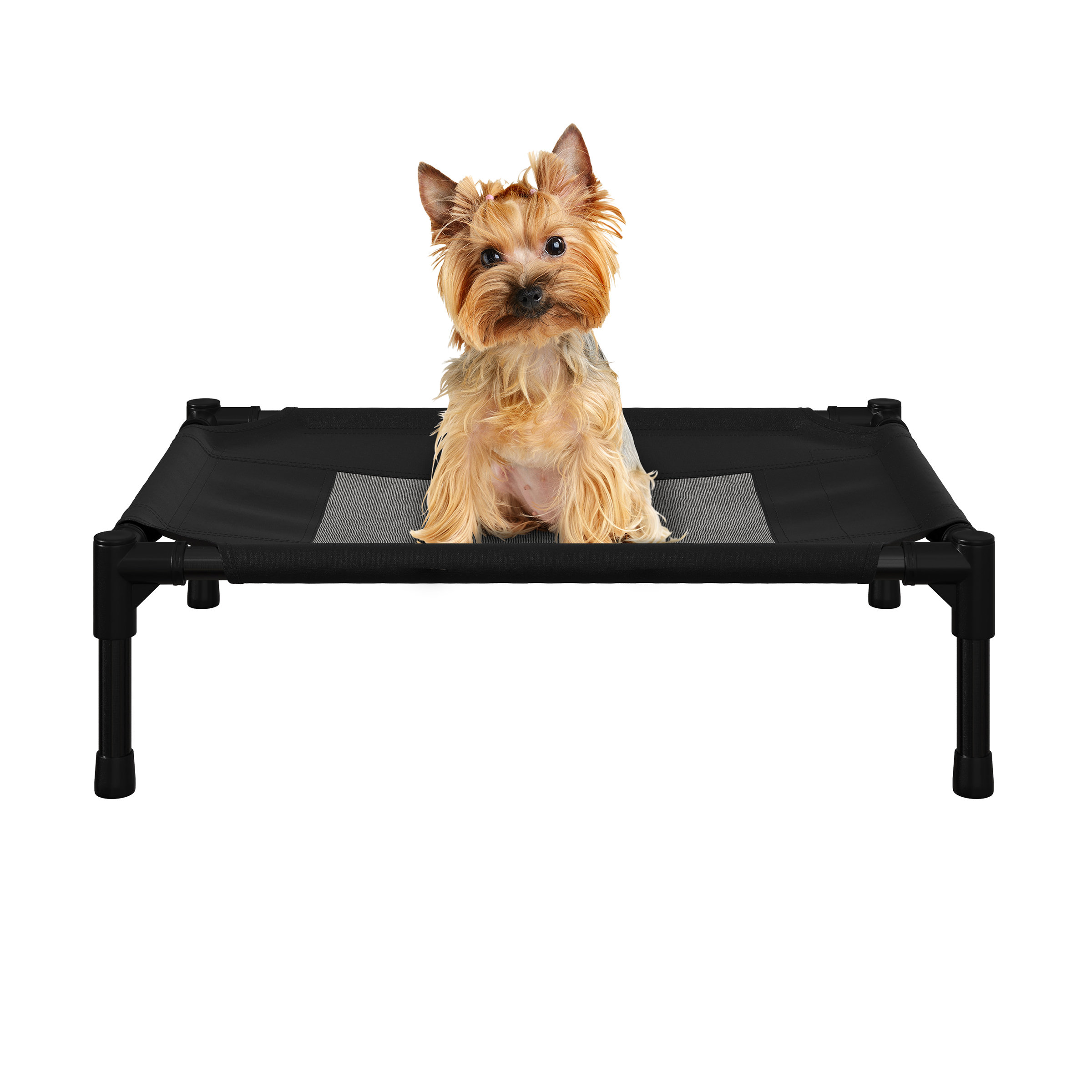 Petmaker PETMAKER 24.5x18.5-Inch Elevated Dog Bed, Black | Wayfair