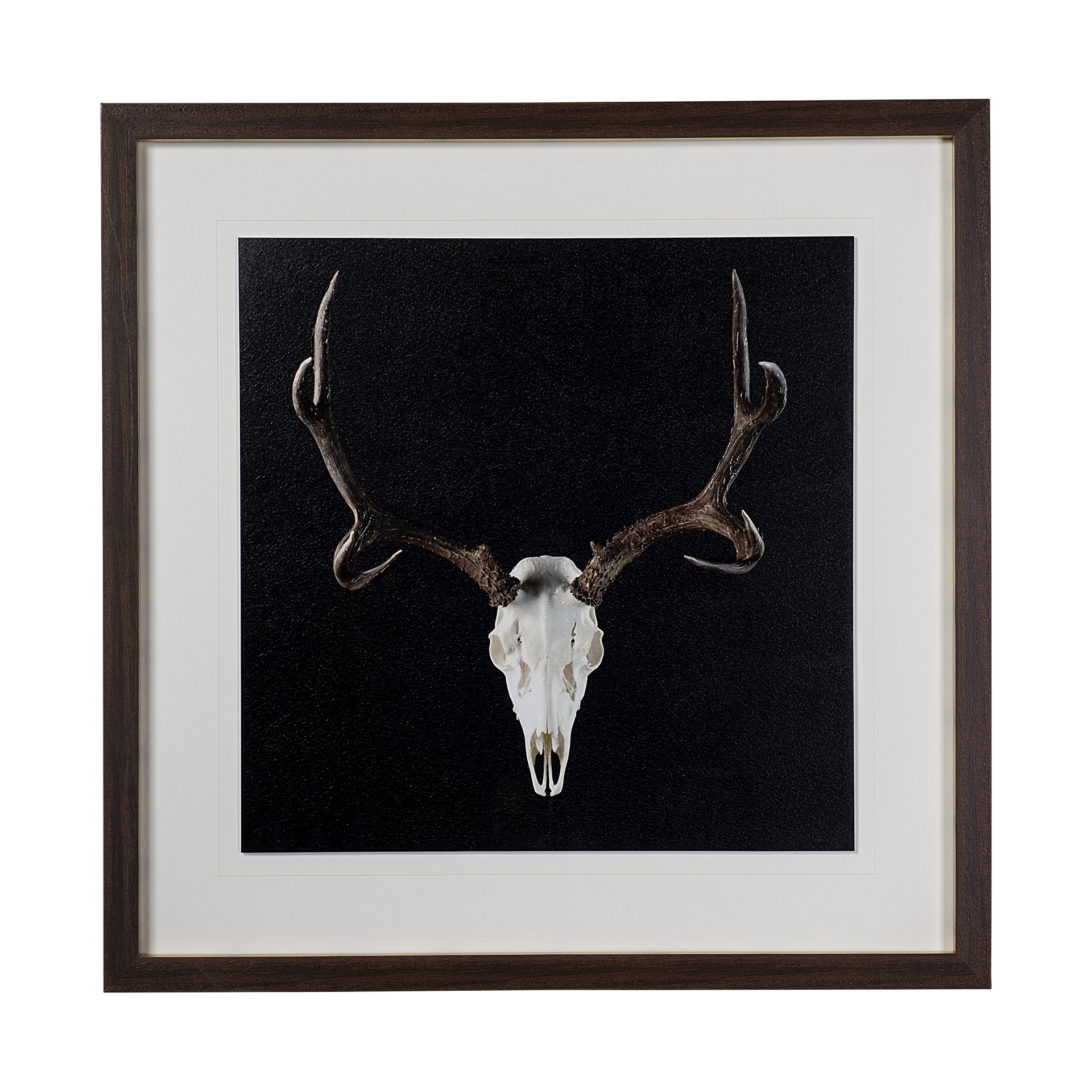 Loon Peak® Deer Skull by Chris Dunker a Hand Embelished Textured Framed ...