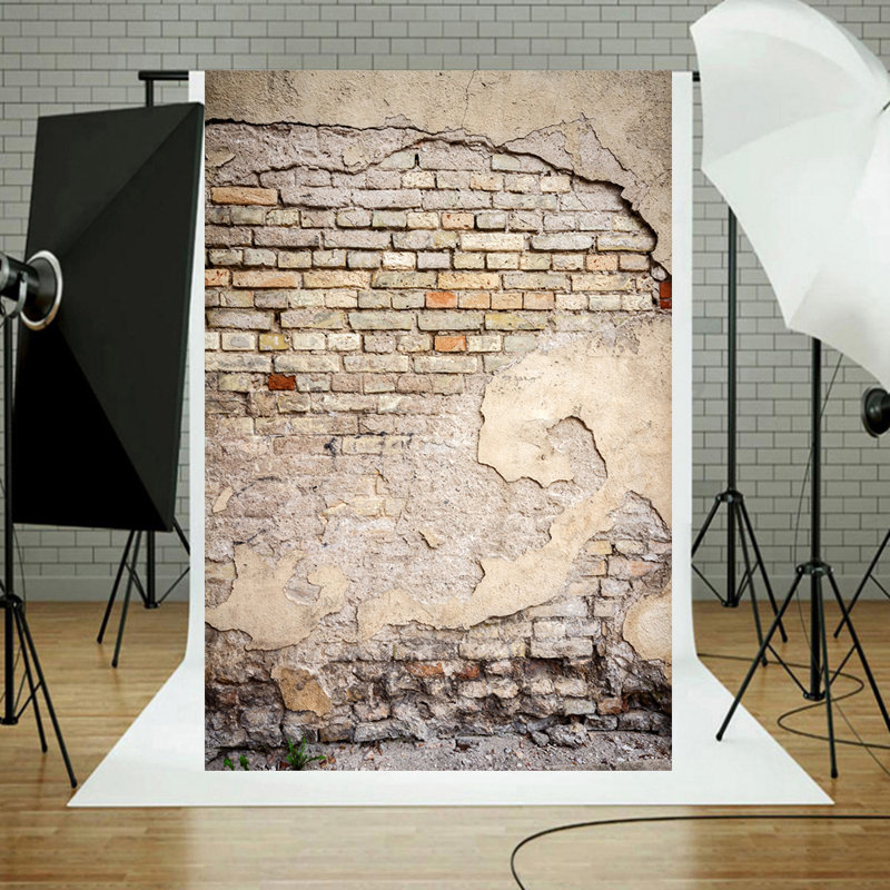 ANMINY Scene Setter | Wayfair