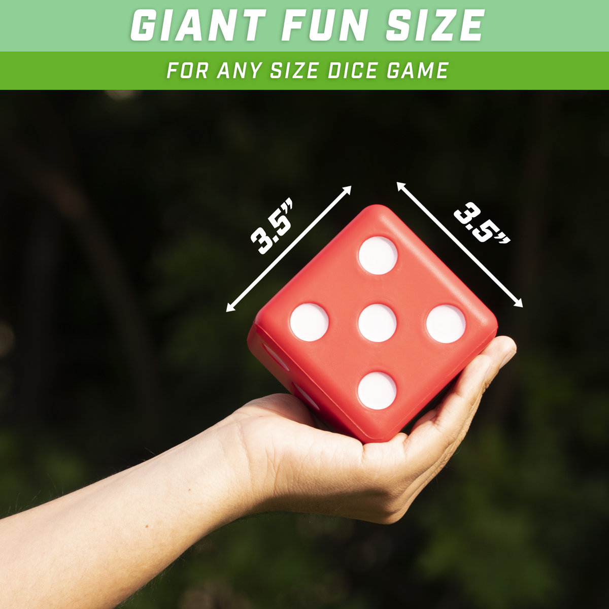 GoSports 3.5" Foam Playing Dice Giant Game & Reviews - Wayfair Canada