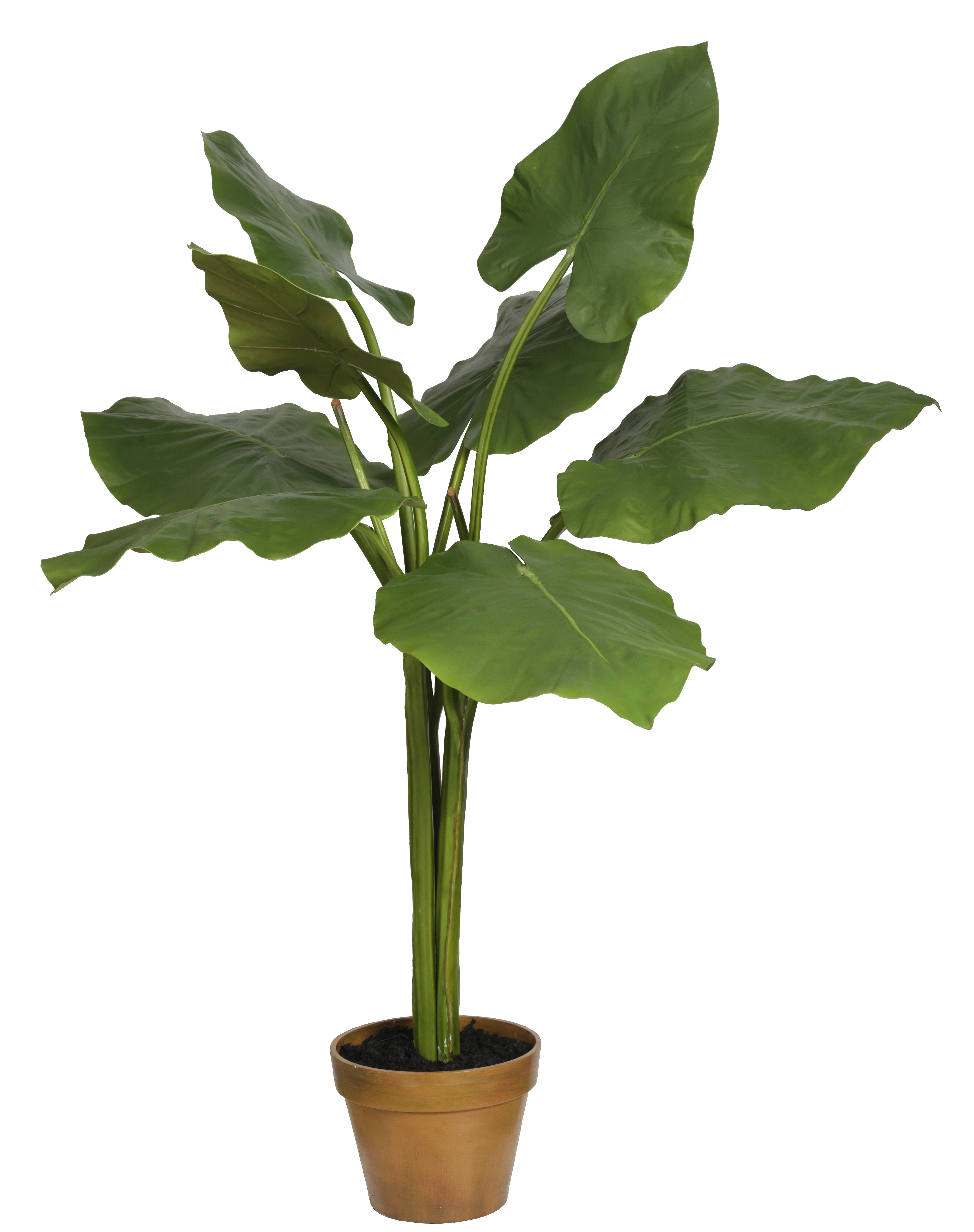 Winward Silks Alocasia Tree In Terracotta Pot | Perigold
