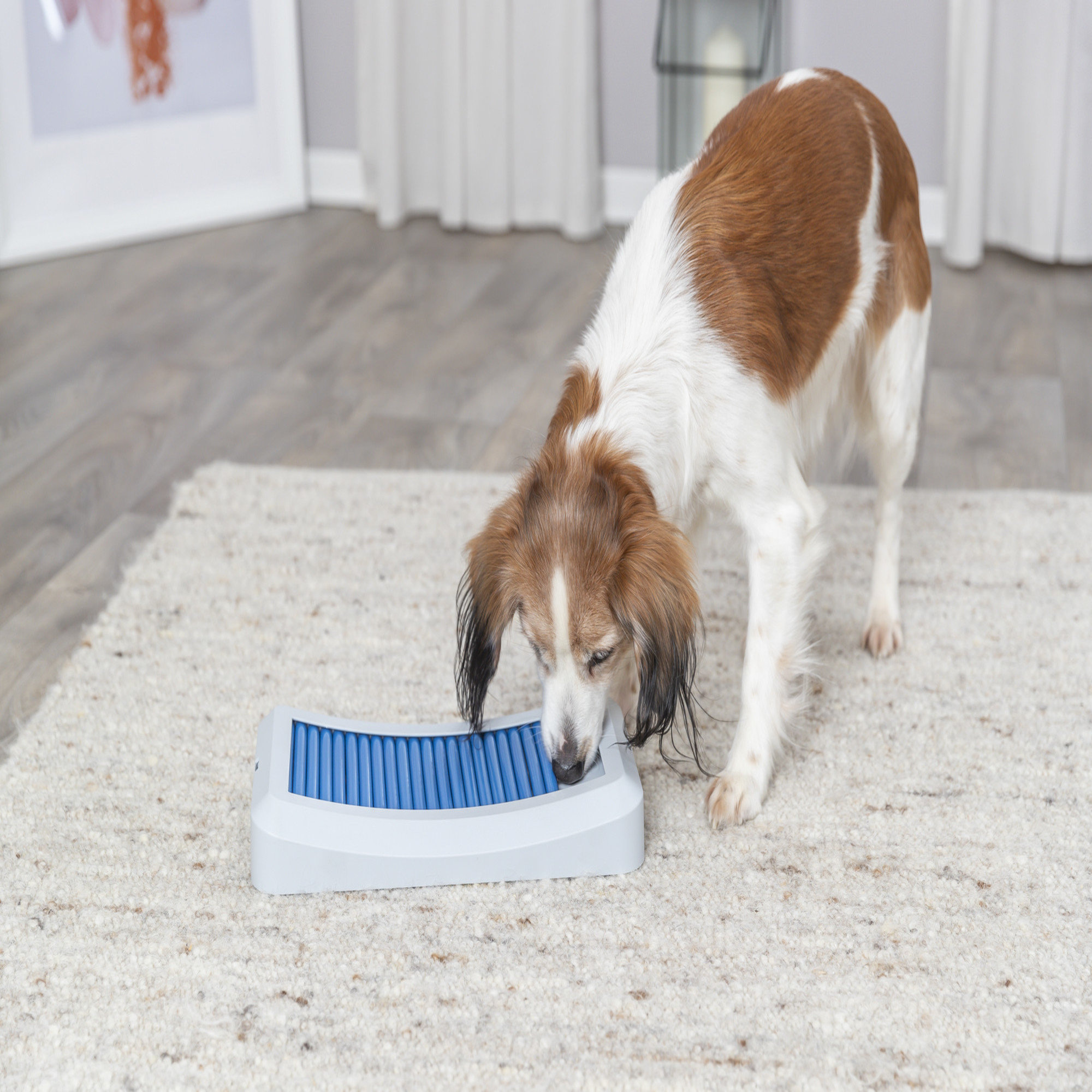 TRIXIE Rod Board Level 1 Strategy Game, Beginner Dog Puzzle Toy ...