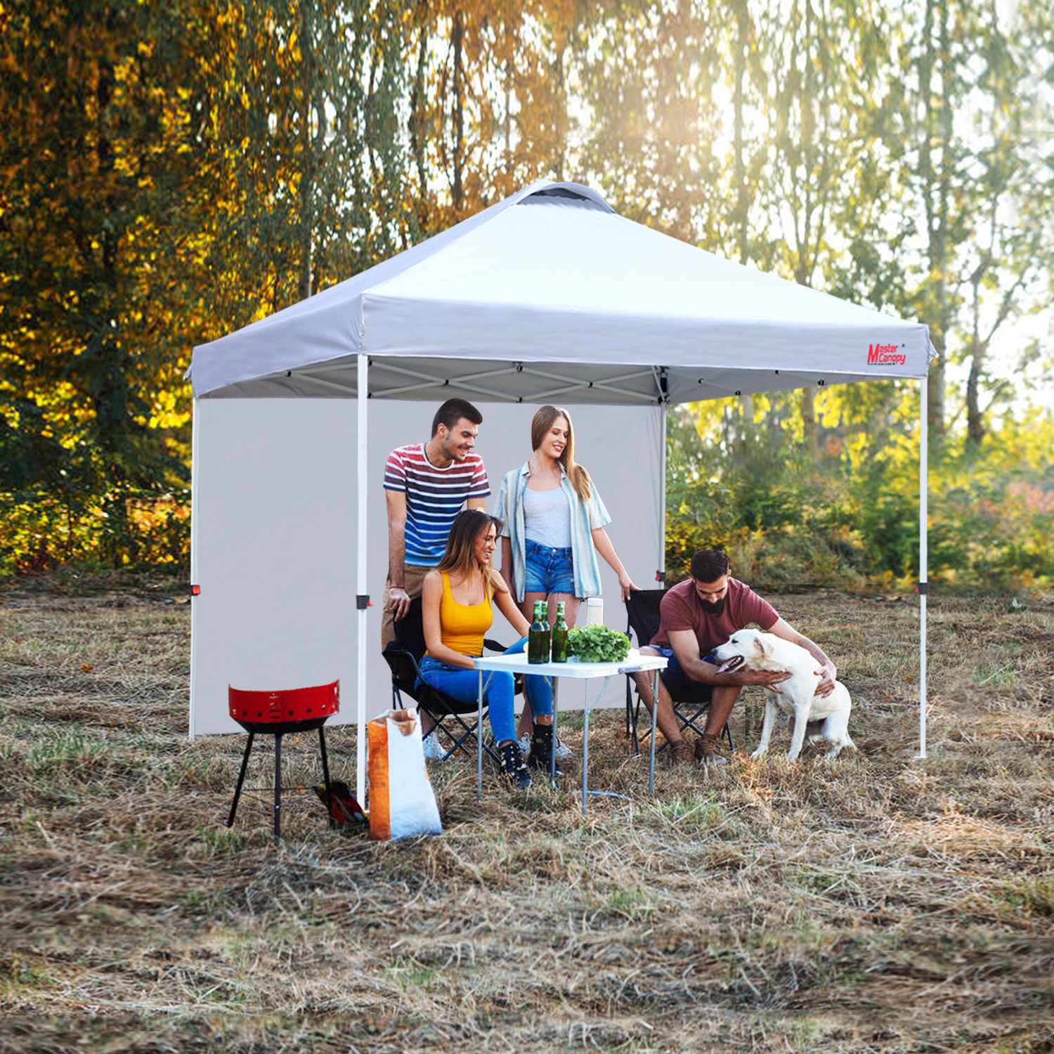 MasterCanopy Steel Pop-up Canopy & Reviews | Wayfair