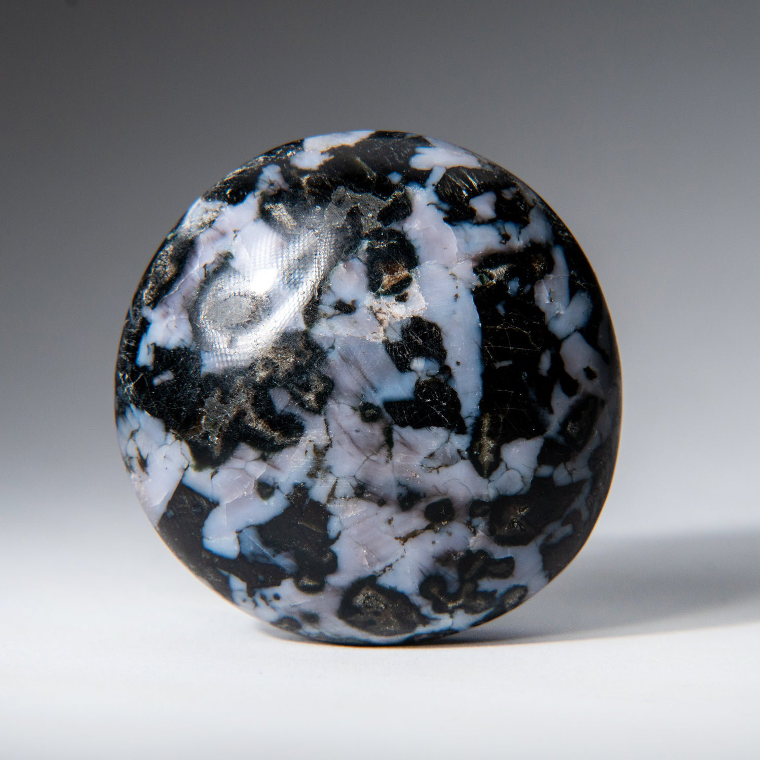 Astro Gallery of Gems Genuine Polished Indigo Gabbro (Medium) Palm ...