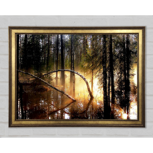 Union Rustic Swamp Forest Morning Mist - Single Picture Frame Art ...