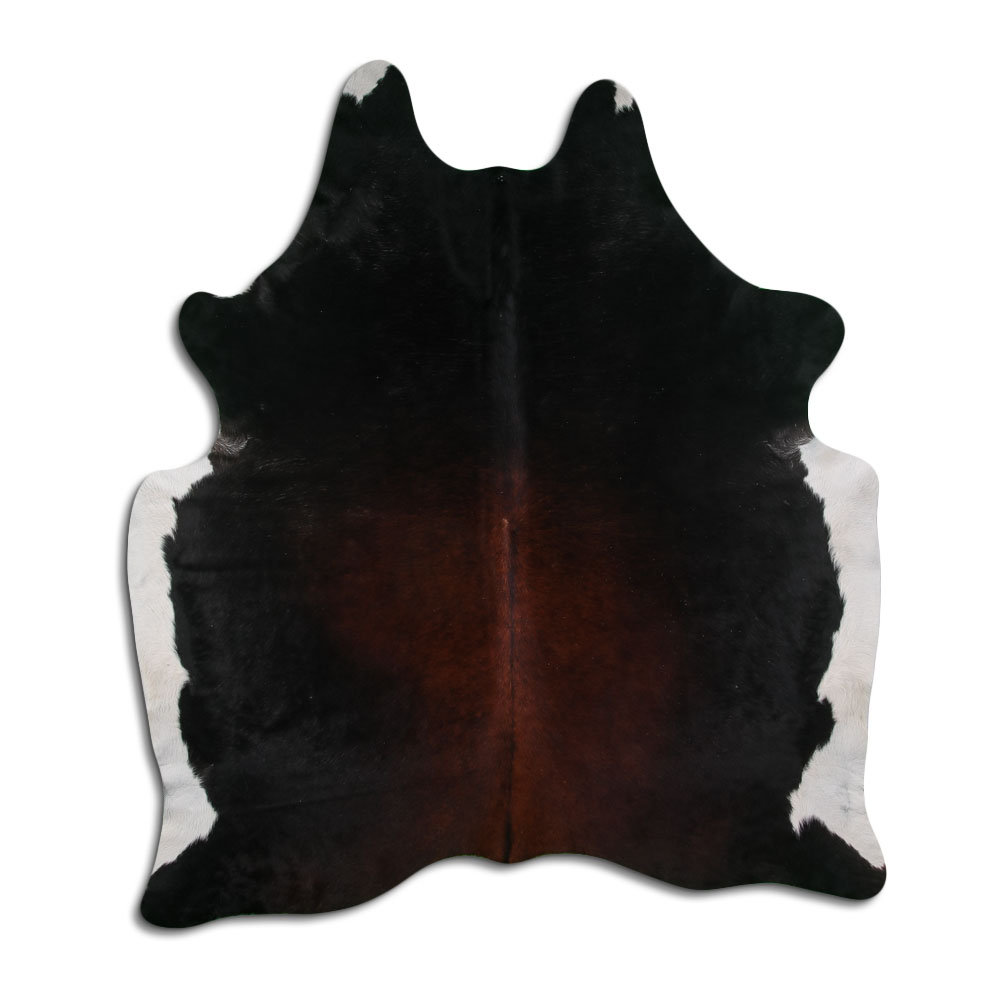 Foundry Select Chanving NATURAL HAIR ON Cowhide Rug TORNASOL - Wayfair ...