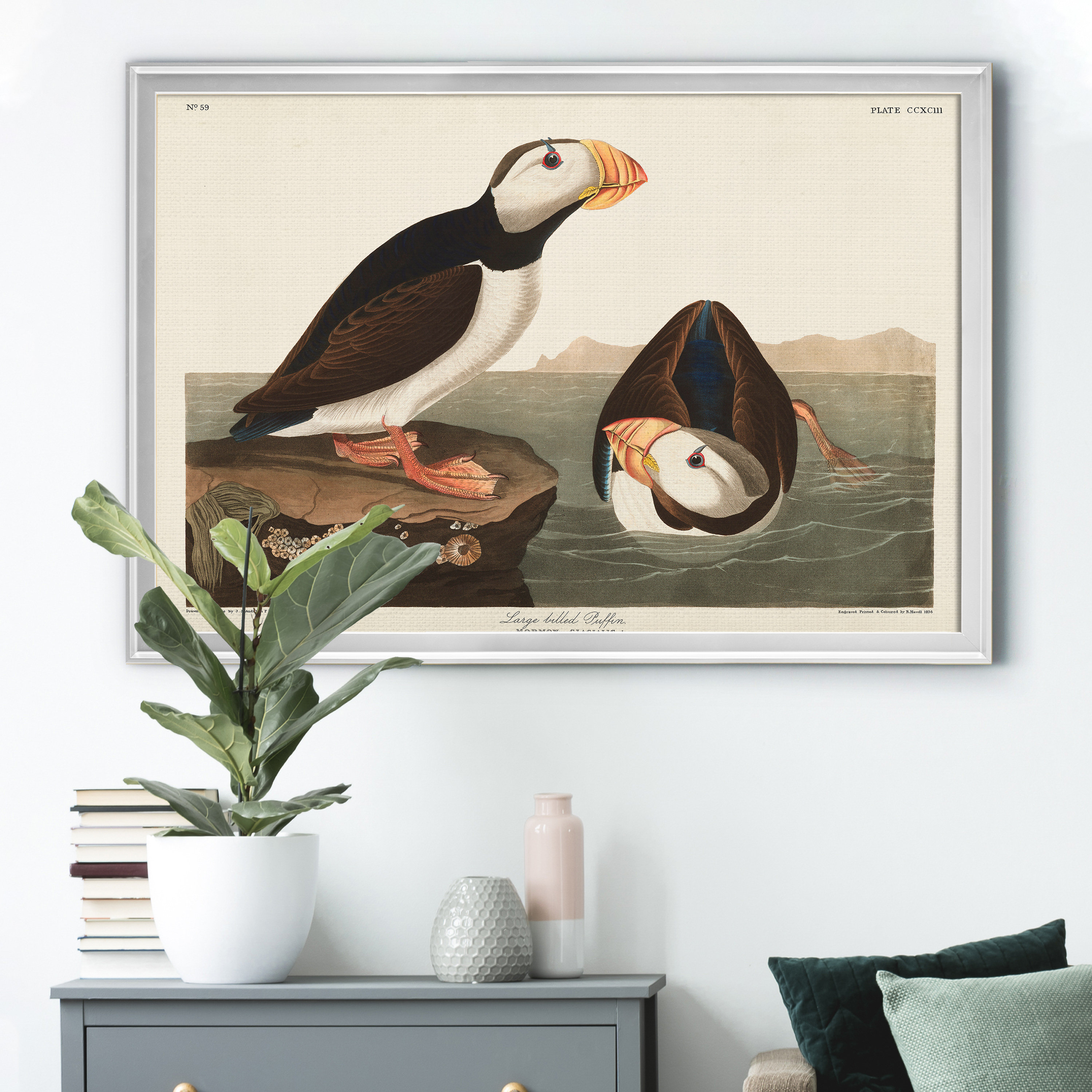 August Grove® Large Billed Puffin - Picture Frame Print on Canvas | Wayfair