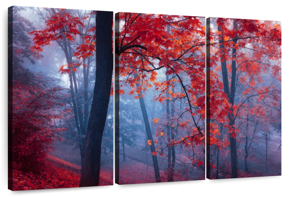 Millwood Pines Alvord Foggy Red Maple Forest | Wayfair