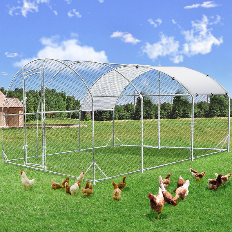 Tucker Murphy Pet™ Dervon 195 Square Feet Walk In Chicken Run For Up To ...