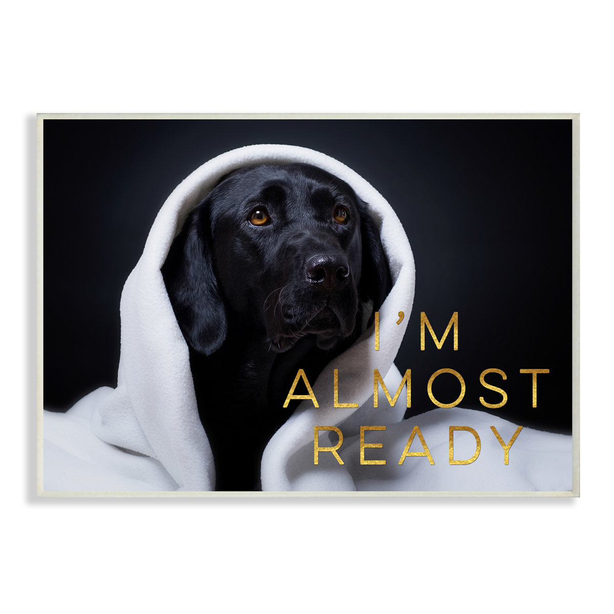 Stupell Industries I'm Almost Ready Labrador Graphic Wall Plaque | Wayfair
