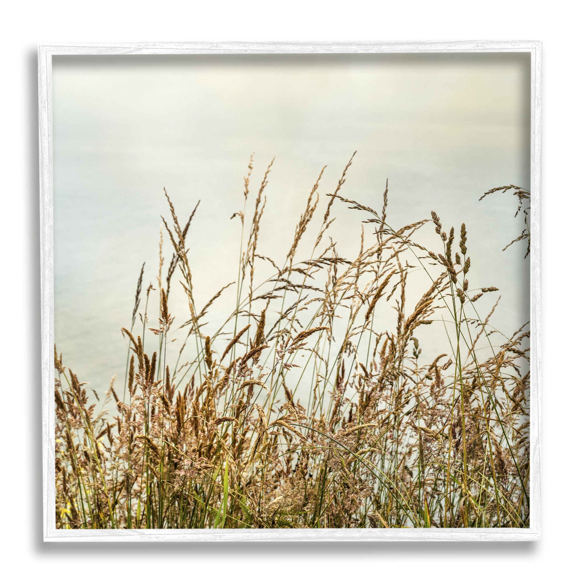 Stupell Industries Ocean Reeds Photography On Wood by Dianne Poinski ...