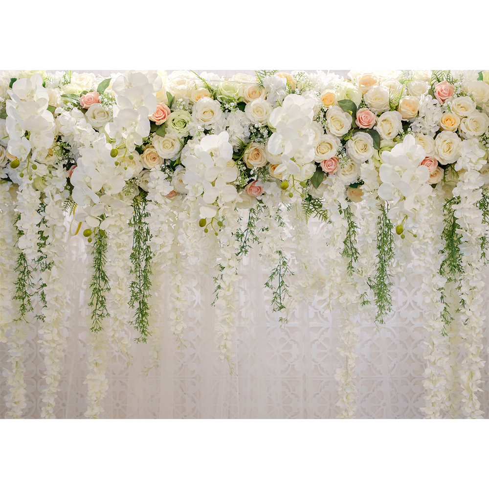 ANMINY Plastic Backdrops & Signs & Reviews | Wayfair