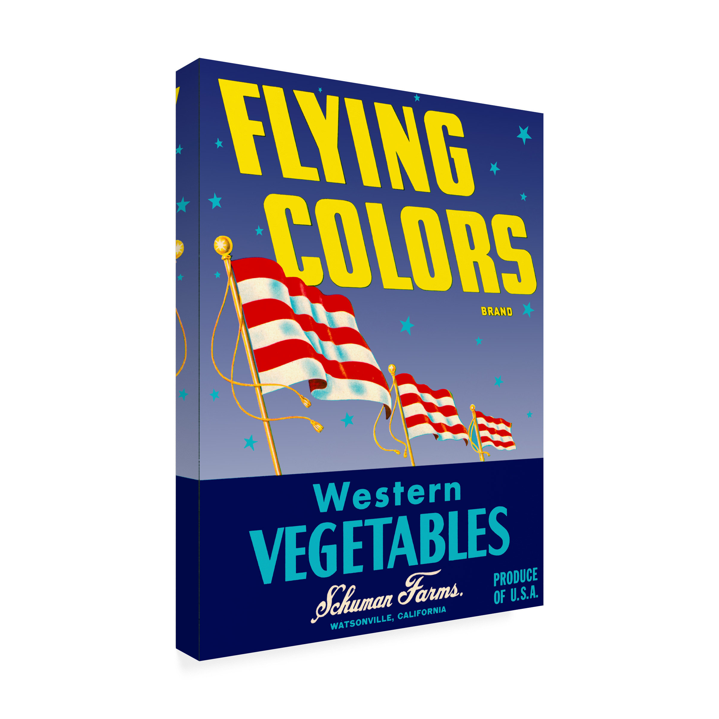 Trinx Flying Colors Brand Western Vegetables On Canvas by Print ...