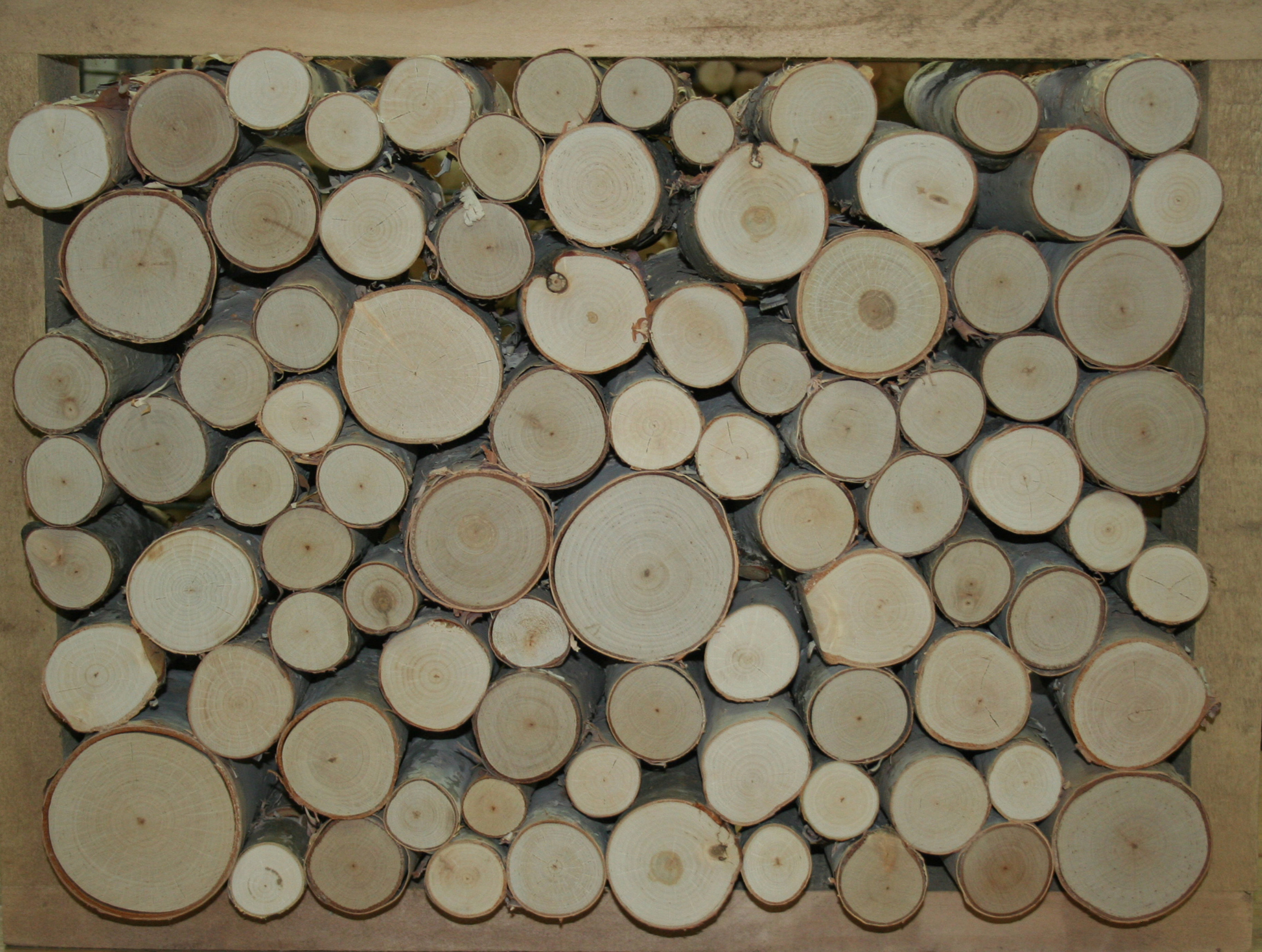 Millwood Pines Wilson Birch Fill a Space Logs Wall Décor & Reviews ...