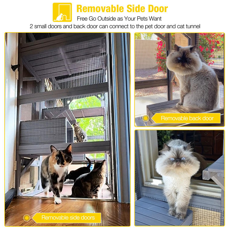 Tucker Murphy Pet™ Catio Outdoor Cat Enclosure & Reviews | Wayfair