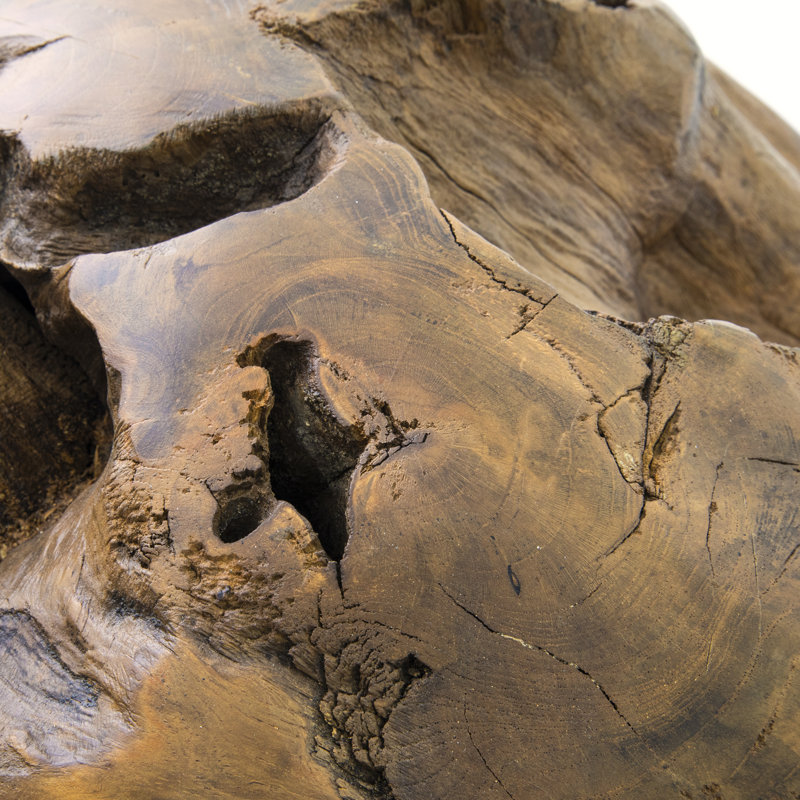 Union Rustic Ishmaiah 14" Teak Root Sphere Accent Decor & Reviews | Wayfair