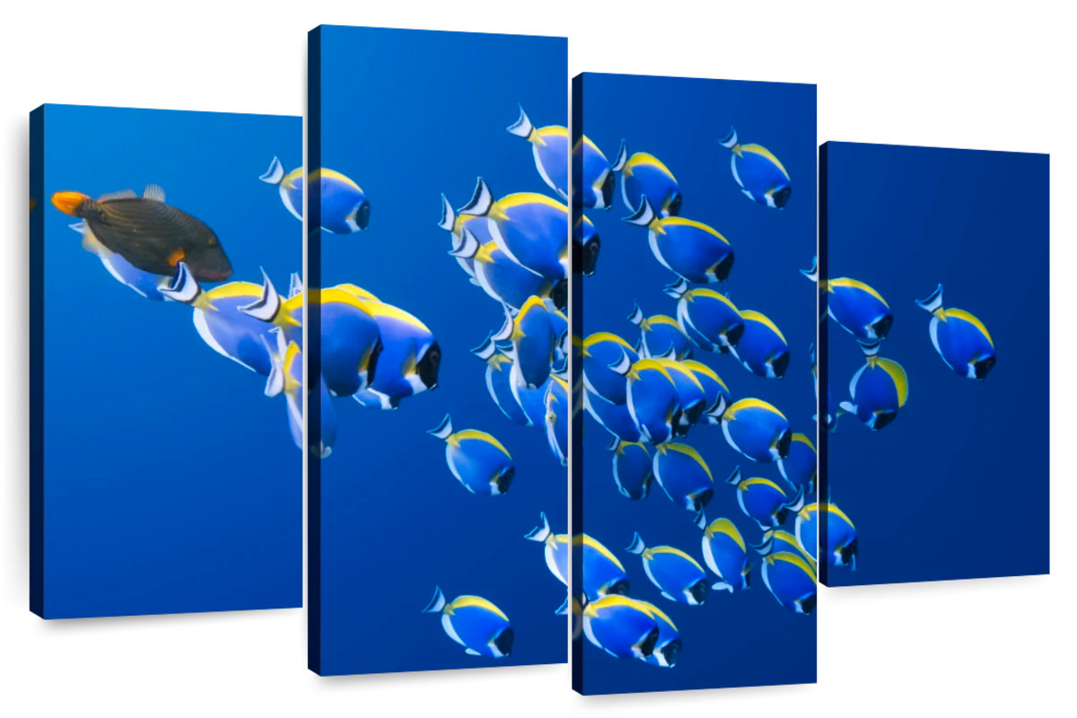 Ebern Designs Brampt Underwater Blue Tangs | Wayfair