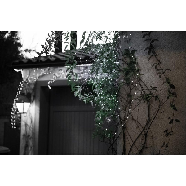 The Holiday Aisle® Led Micro String Light - 3 Pack - Wayfair Canada