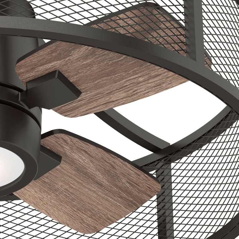 Hunter Fan 24" Seattle 4 - Blade Caged Ceiling Fan with Wall Control ...