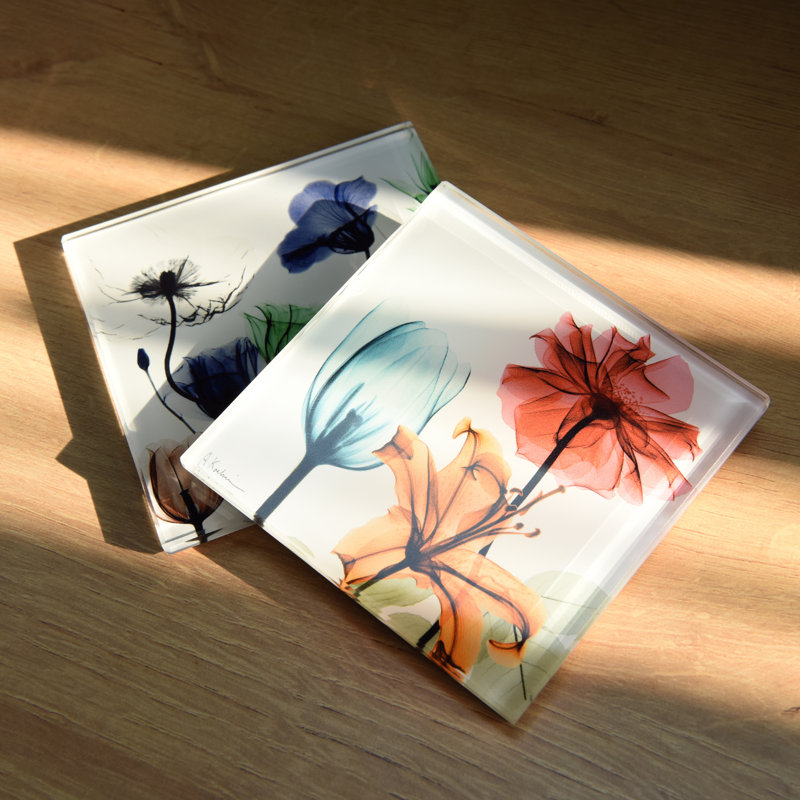 Empire Art Direct Pretty Bouquet Super White Glass Coasters with Cork ...