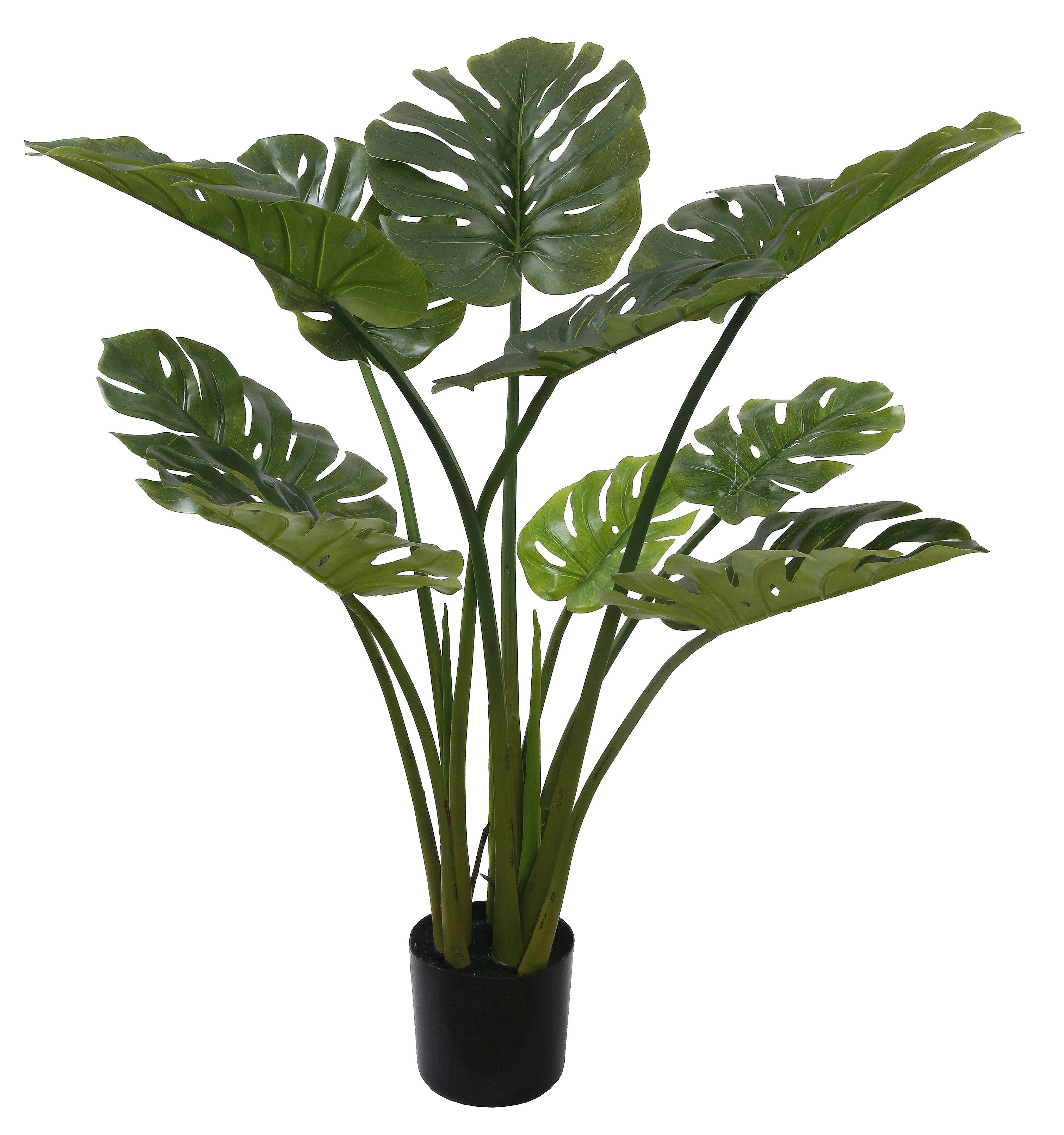 Vivian Rose Split Leaf Philo Tree - 3' | Perigold