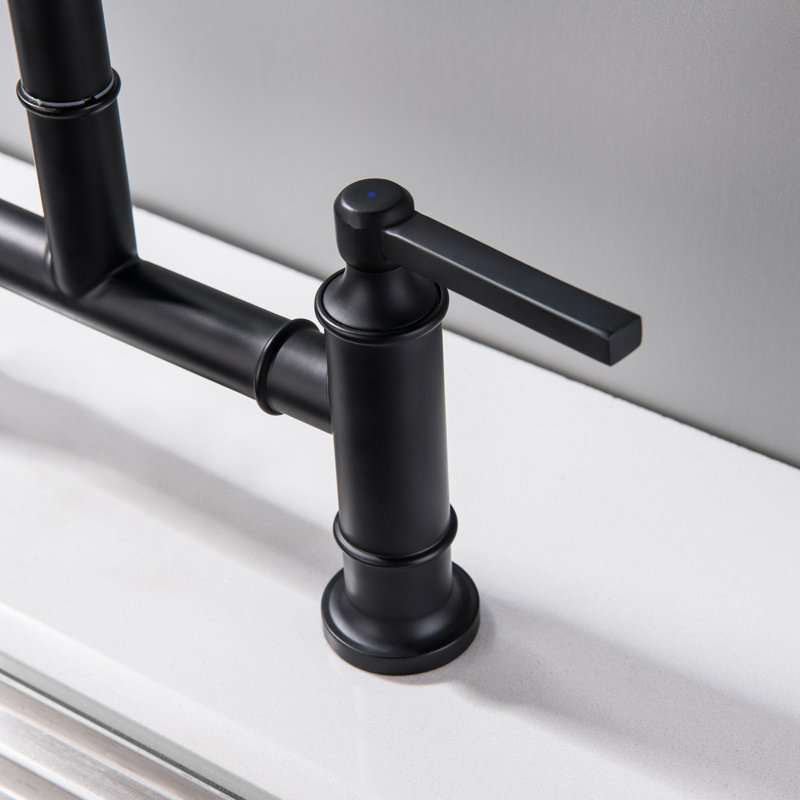 Selected Bridge Double Handles Kitchen Faucet With Side Spray & Reviews ...