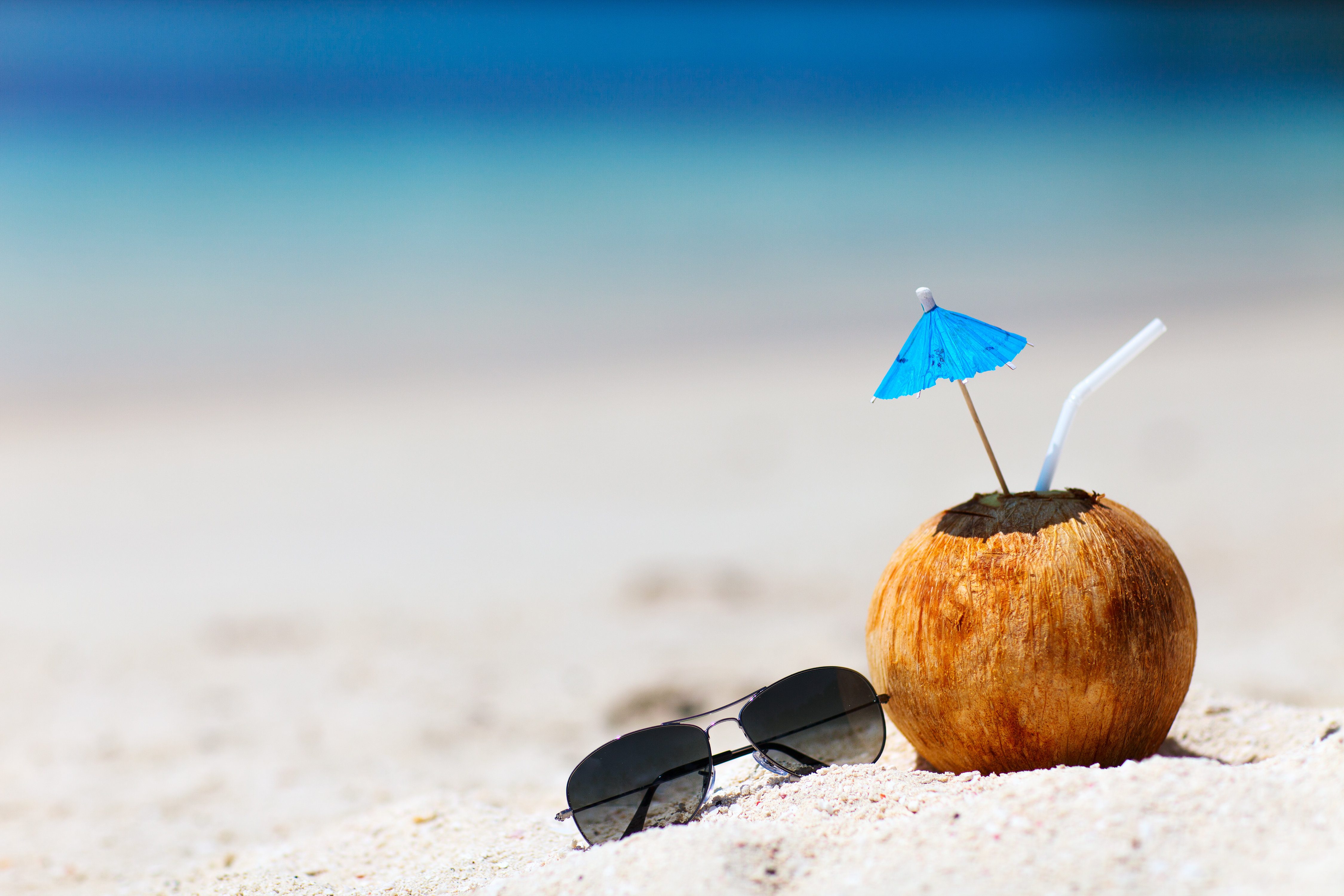 Highland Dunes Coconut on Tropical Beach - Wrapped Canvas Photograph ...