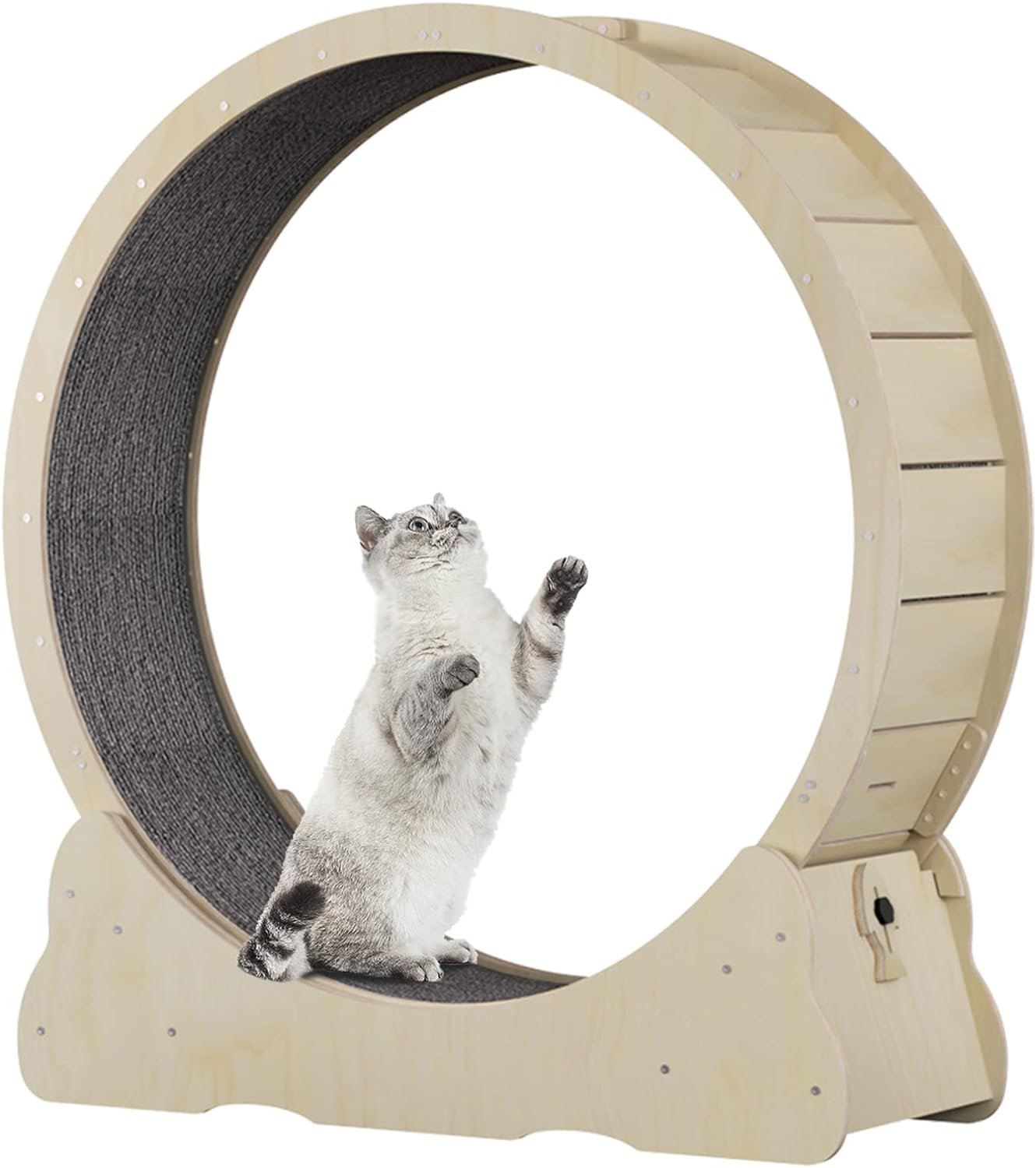 Tucker Murphy Pet™ 38'' H Donyetta | Wayfair