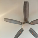 Red Barrel Studio® Segars 52'' Ceiling Fan with Light Kit & Reviews ...