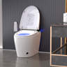 BCAN Smart Toilet with Tankless Bidet Wash, Auto Open Lid, 1.28 Gallons ...