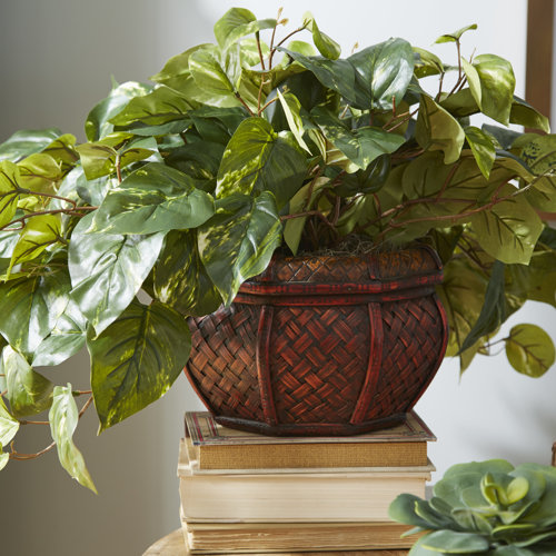 Wayfair | Foliage Faux Plants You'll Love in 2024