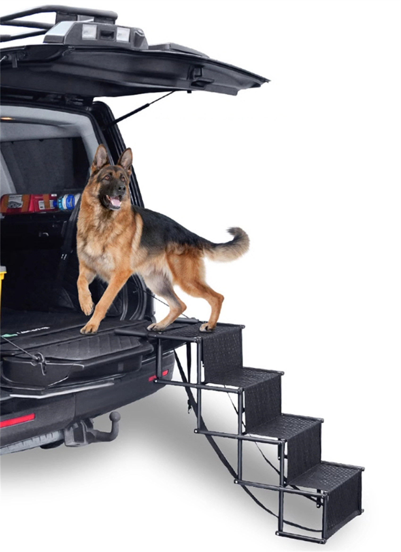 Tucker Murphy Pet™ Collapsible Stairs With 4 Steps | Wayfair