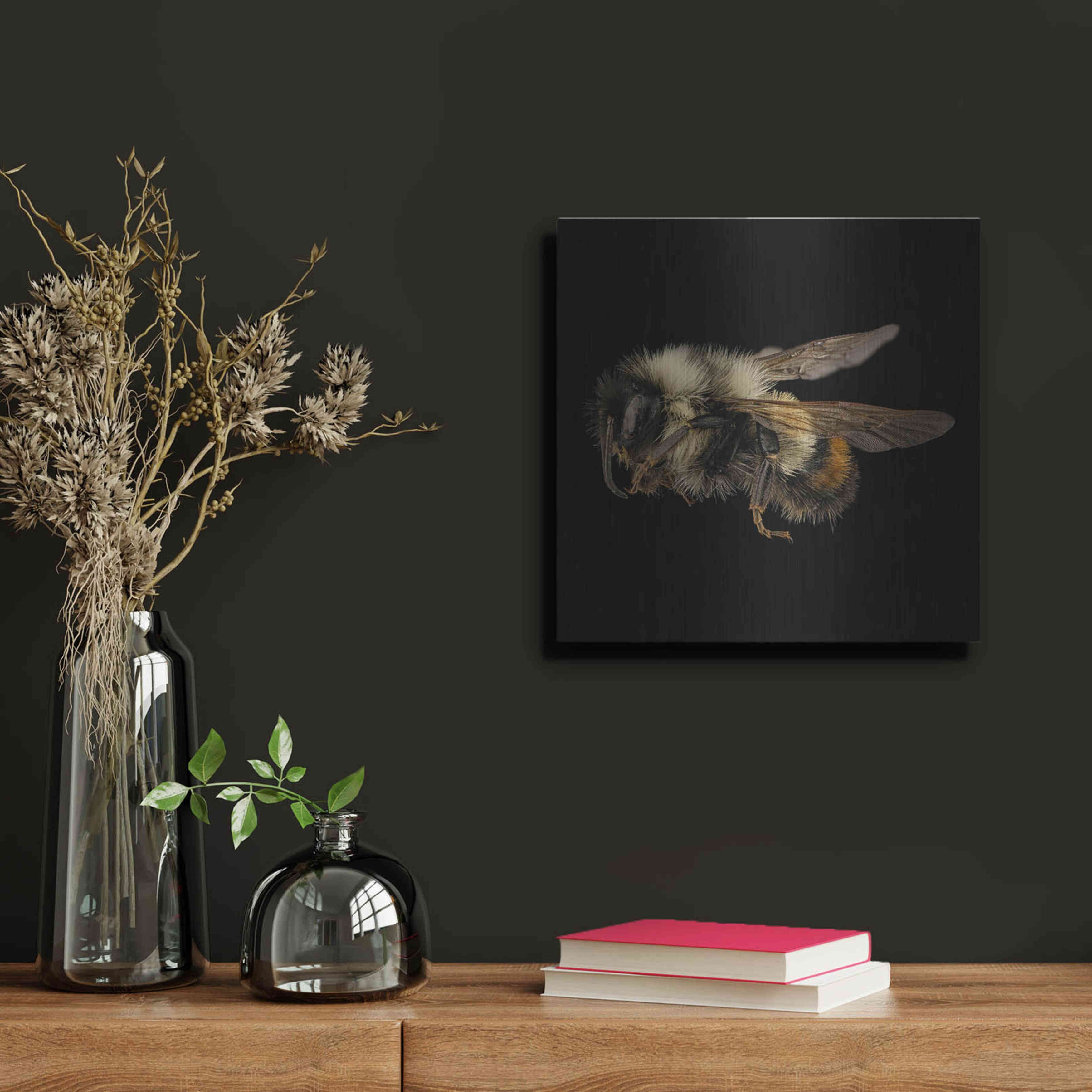 August Grove® " Fuzzy Buzzy " by Luxe Metal Portfolio | Wayfair