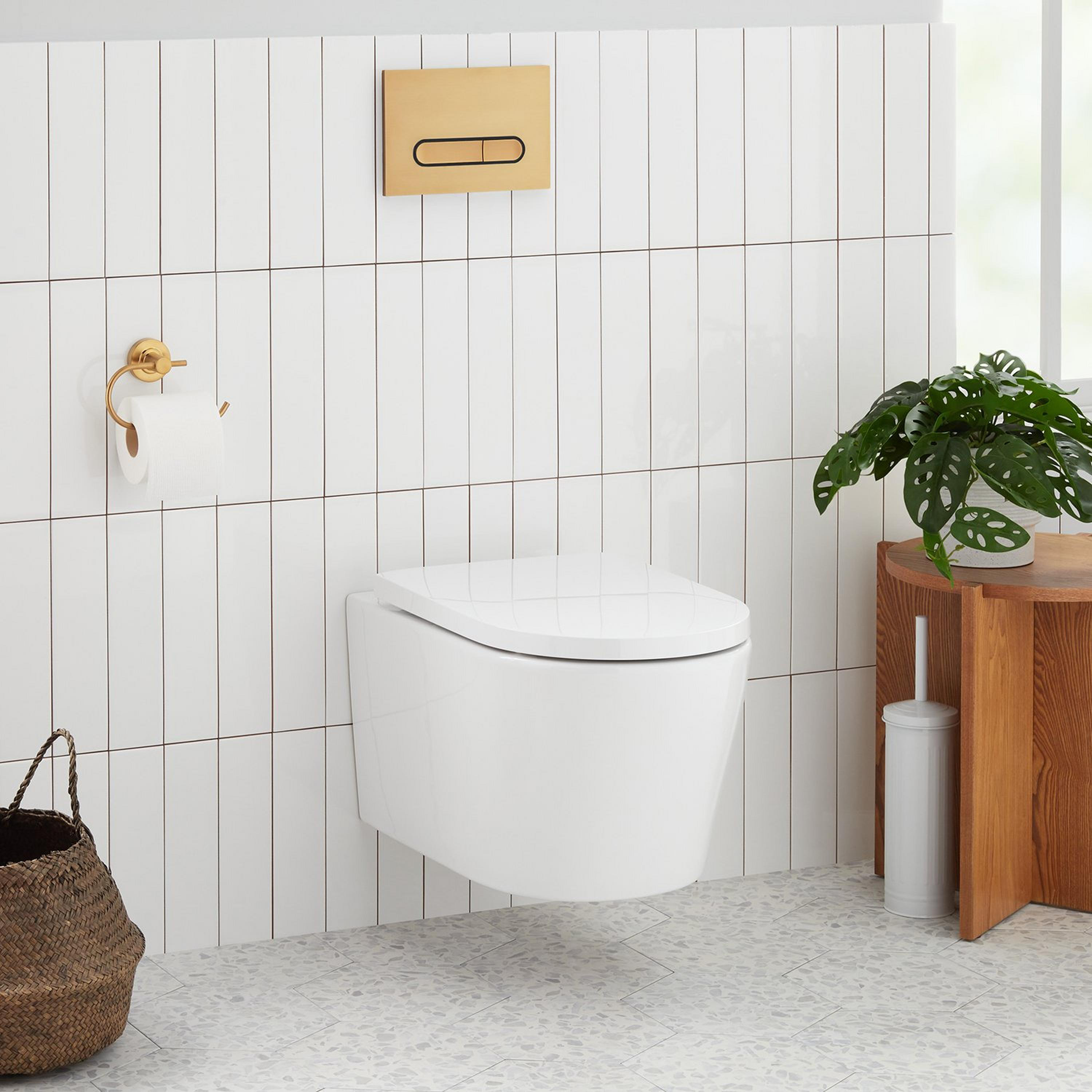 Signature Hardware Arnelle Dual Flush Wall Mounted One Piece Elongated ...