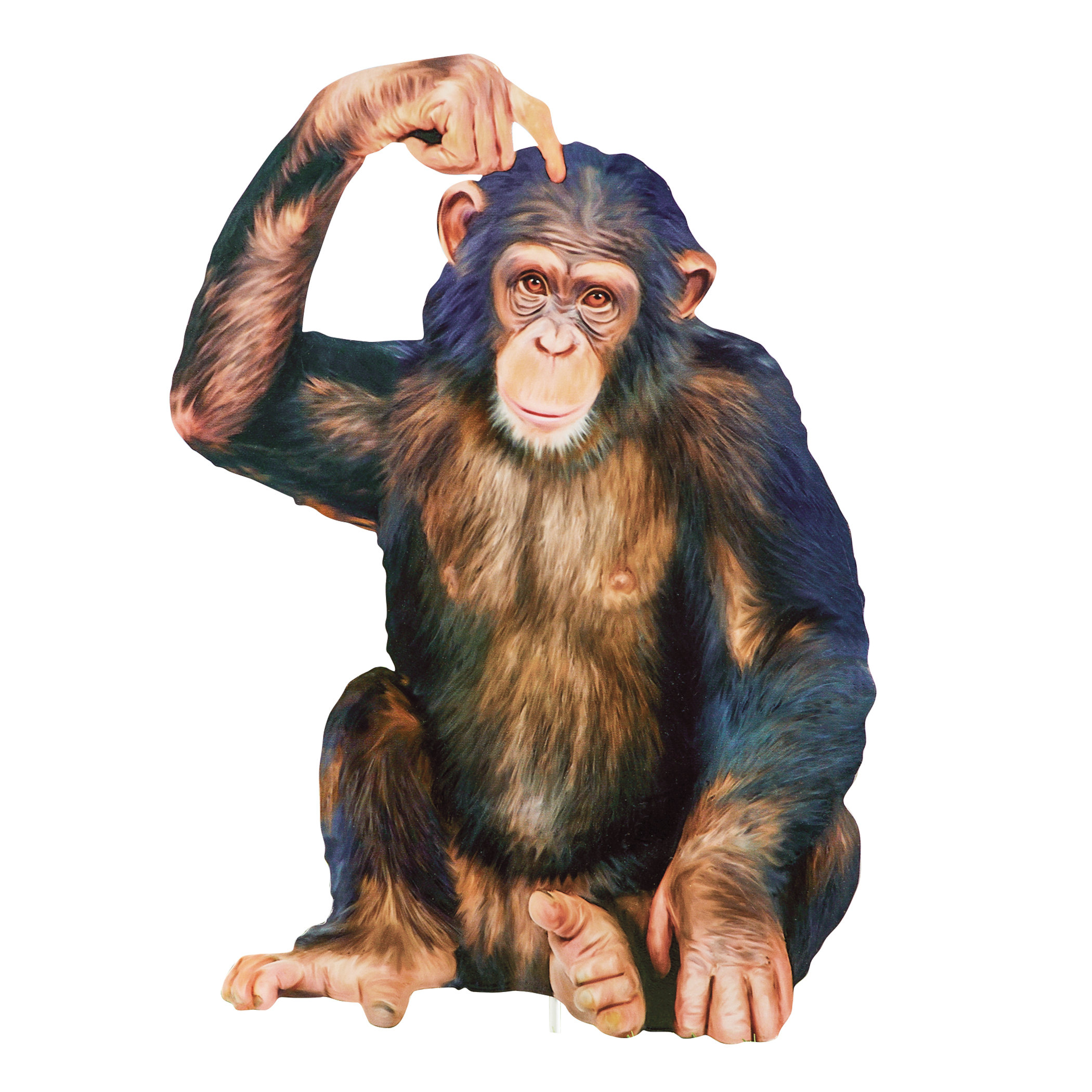 Winston Brands Realistic Sitting Chimp Garden Art | Wayfair