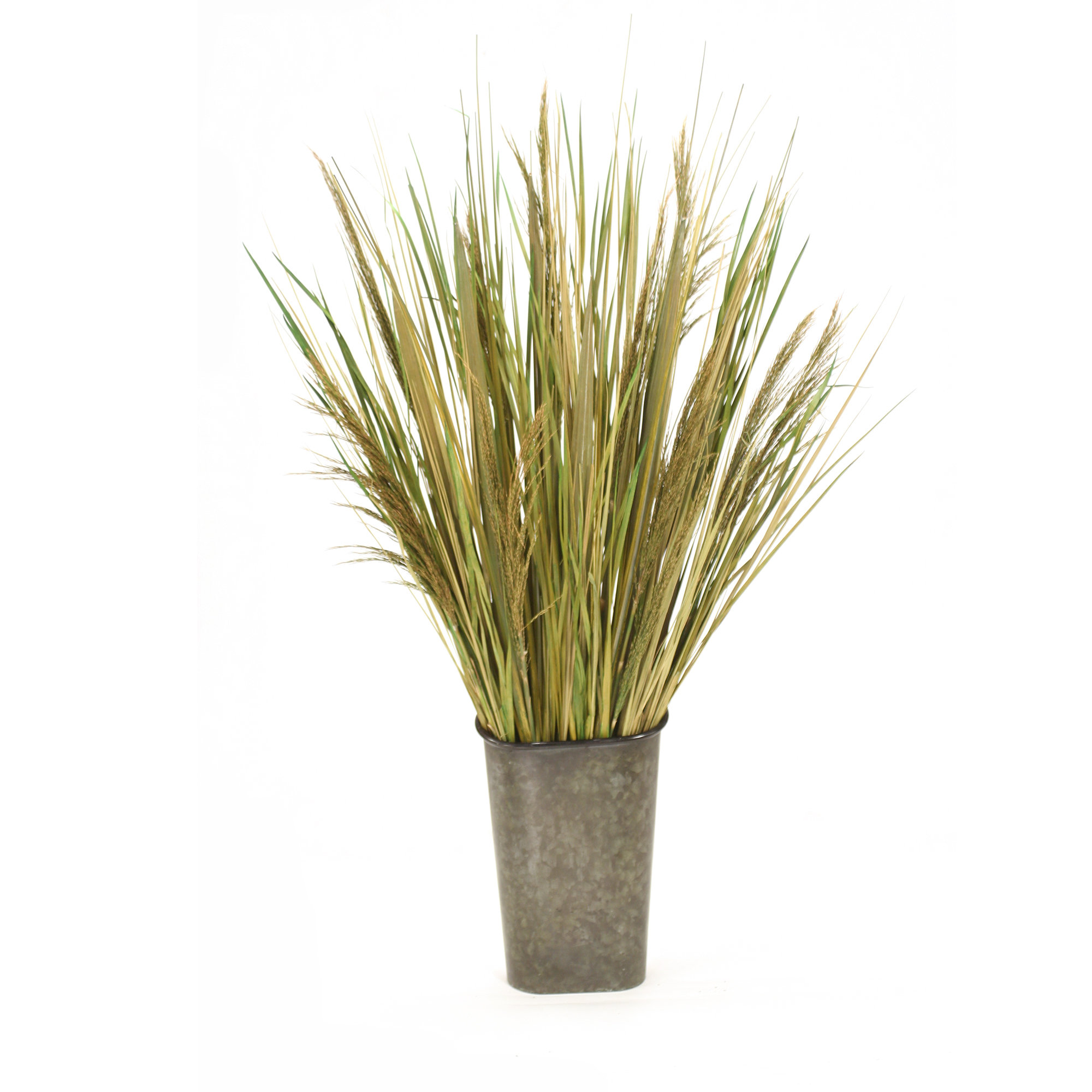 Primrue 43" Preserved Reed Plant in Planter | Wayfair