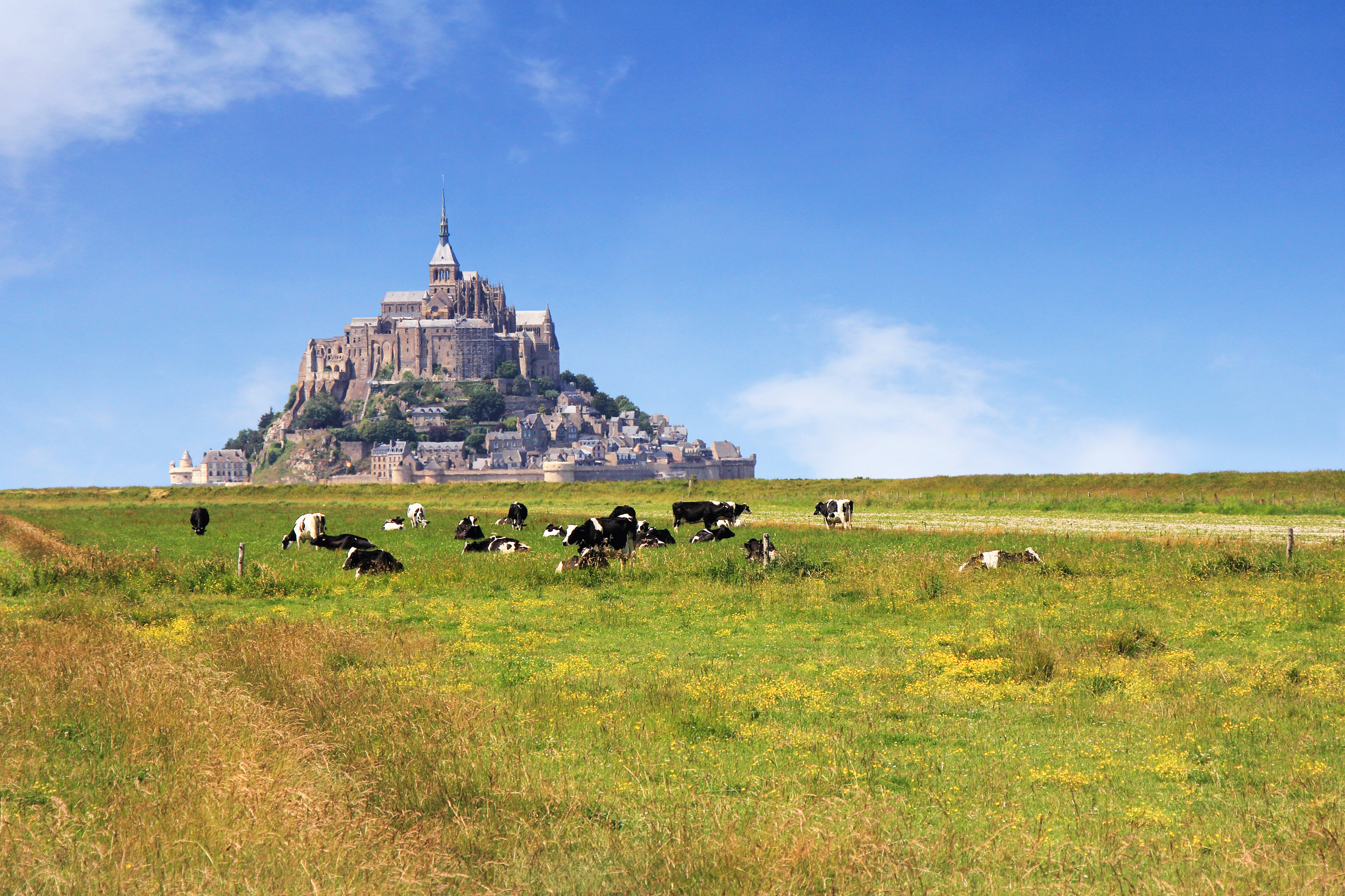 Gracie Oaks Mont Saint Michel - Wayfair Canada